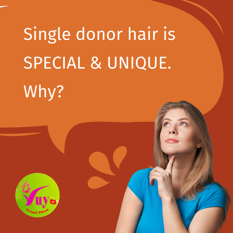 Single donor hair is SPECIAL & UNIQUE. Why? – vuyhair