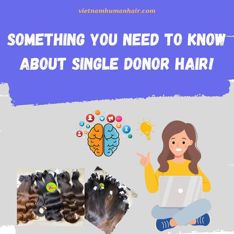 Something you need to know about Single donor hair! – vuyhair