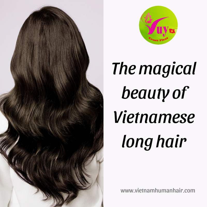 The magical beauty of Vietnamese long hair – vuyhair